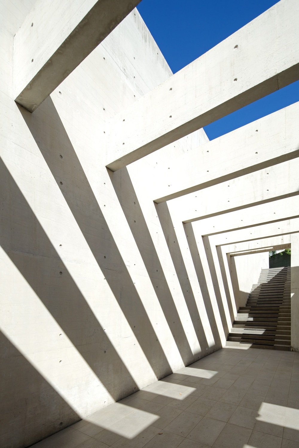 MUS_CAR_GMV_70 | Nico Saieh